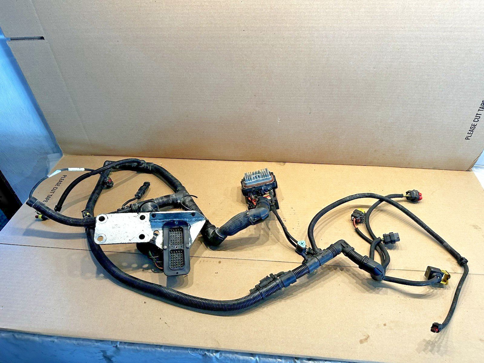 2019 Caterpillar CAT C 4.4 Acert Diesel Engine Wiring Harness 4580753 ...